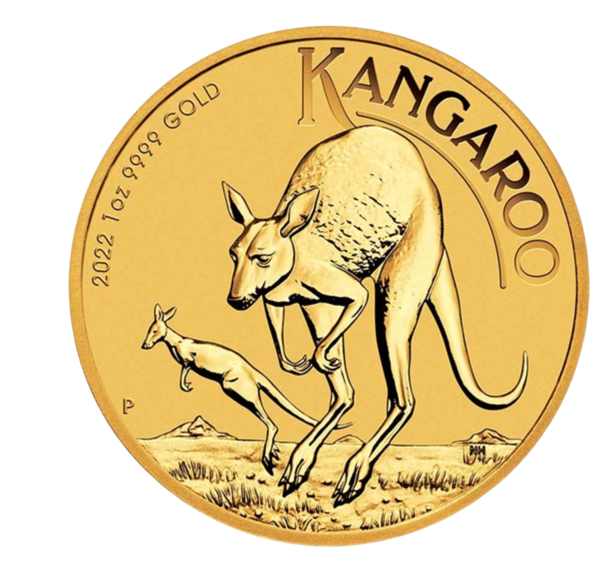 Buy Australian Kangaroo Year 2022 1 oz Gold Coin | from Indigo